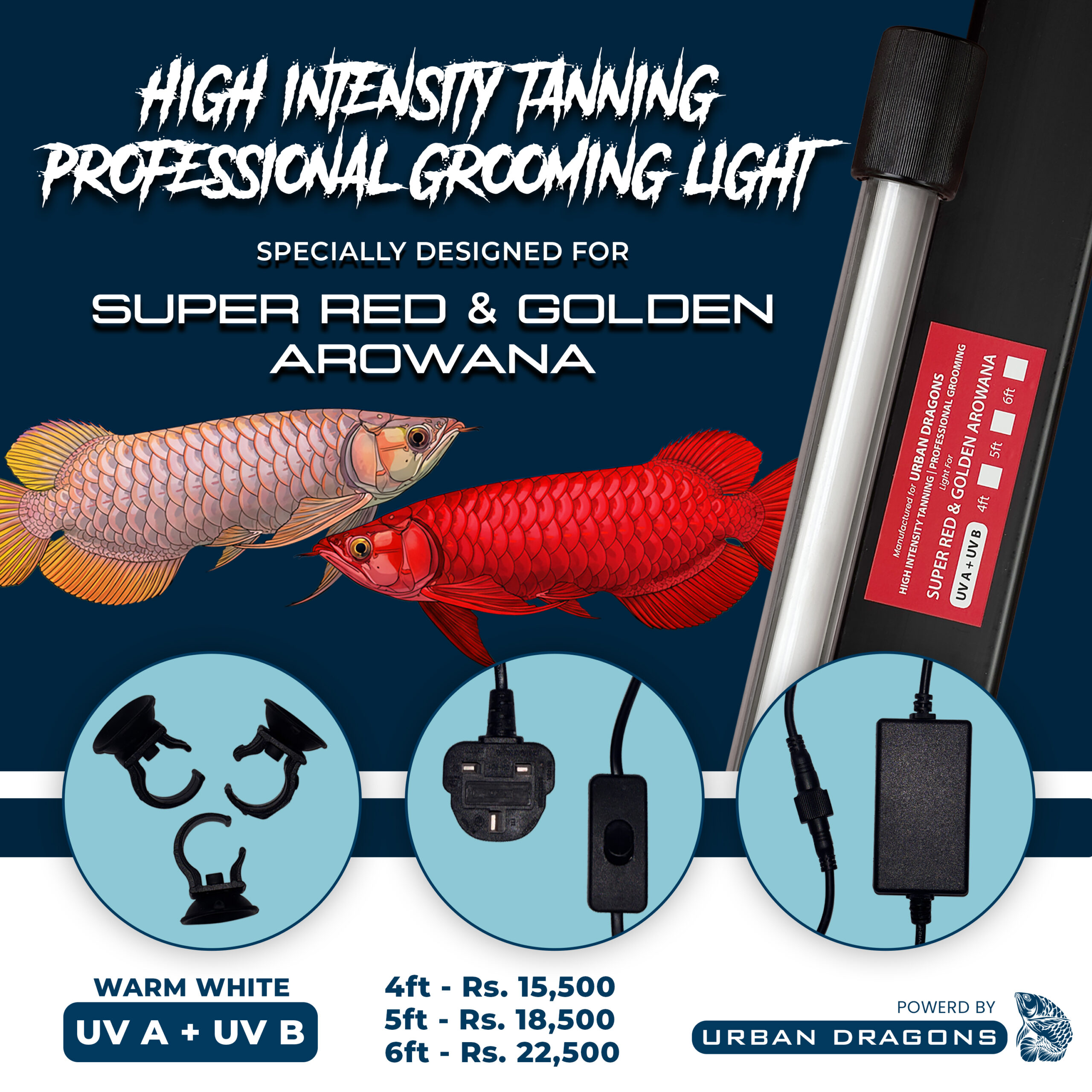 Urban Dragons Arowana Grooming Light | UVA + UVB