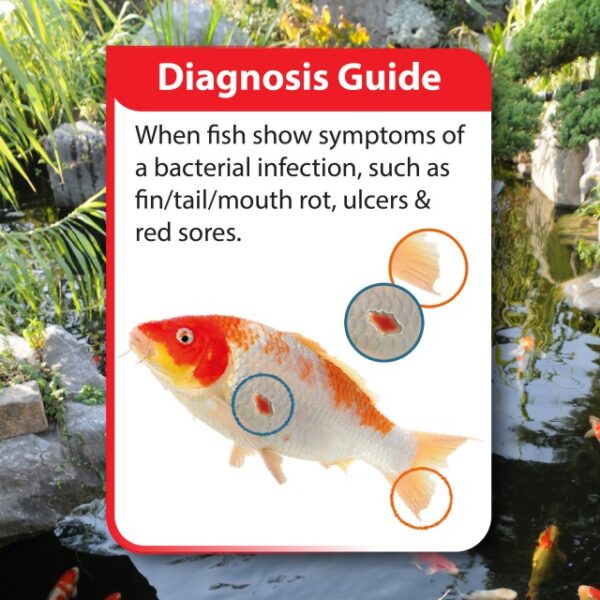 NT LABS Acriflavin – Treat Fish Ulcers, Fin & Tail Rot